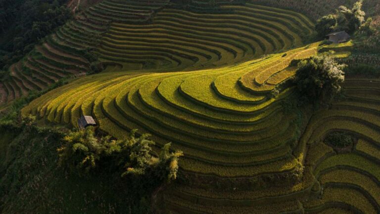 Vietnam's Best Rice Fields - 4 Viewpoints In Mu Cang Chai