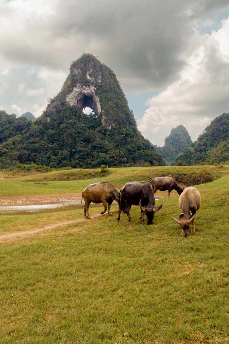 Cao Bang Vietnam Best Things To Do & Travel Guide 2026