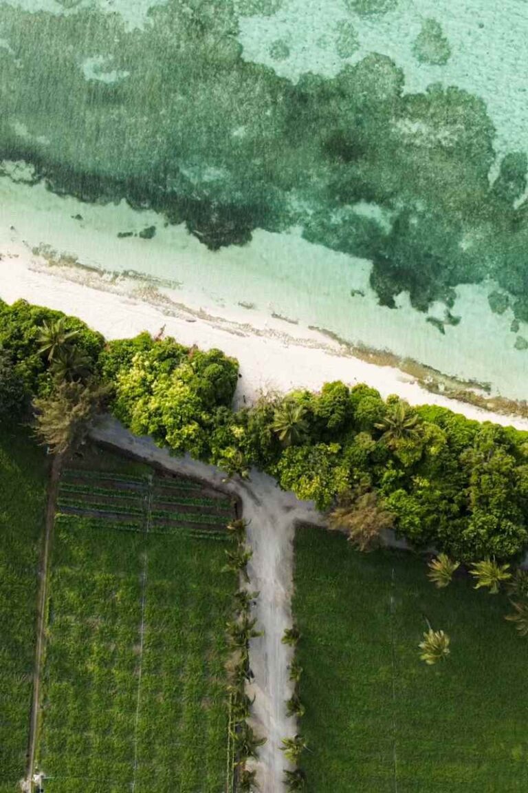 Thoddoo Island Maldives - Travel Guide & 8 Best Things