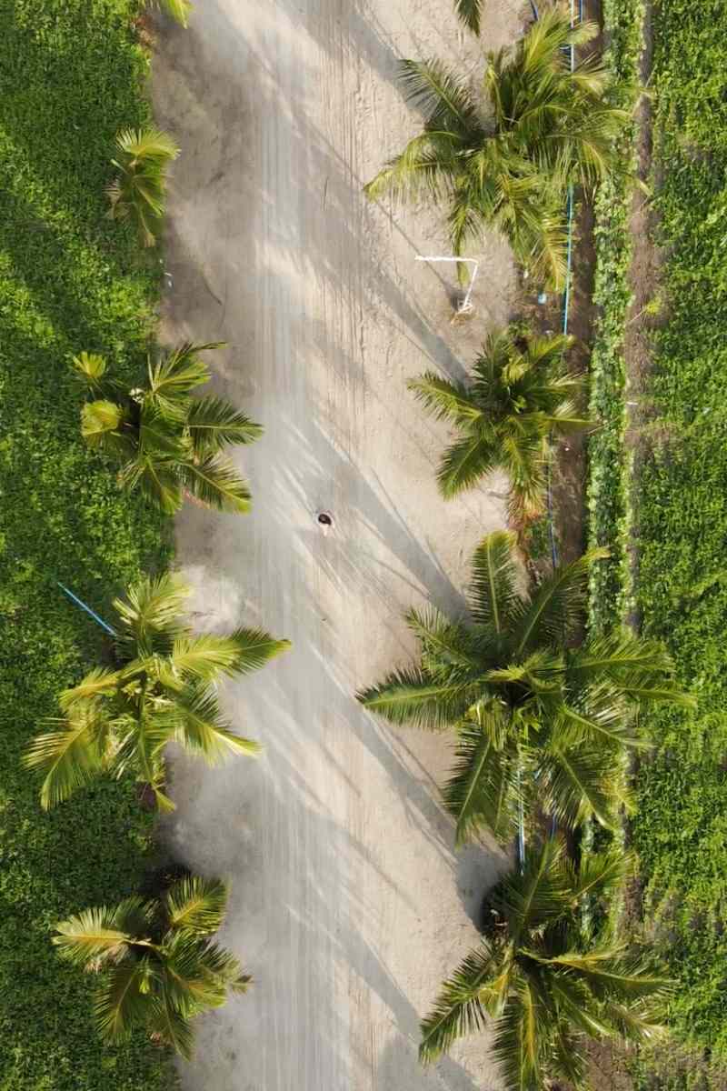 Thoddoo Island Maldives - Travel Guide & 9 Best Things