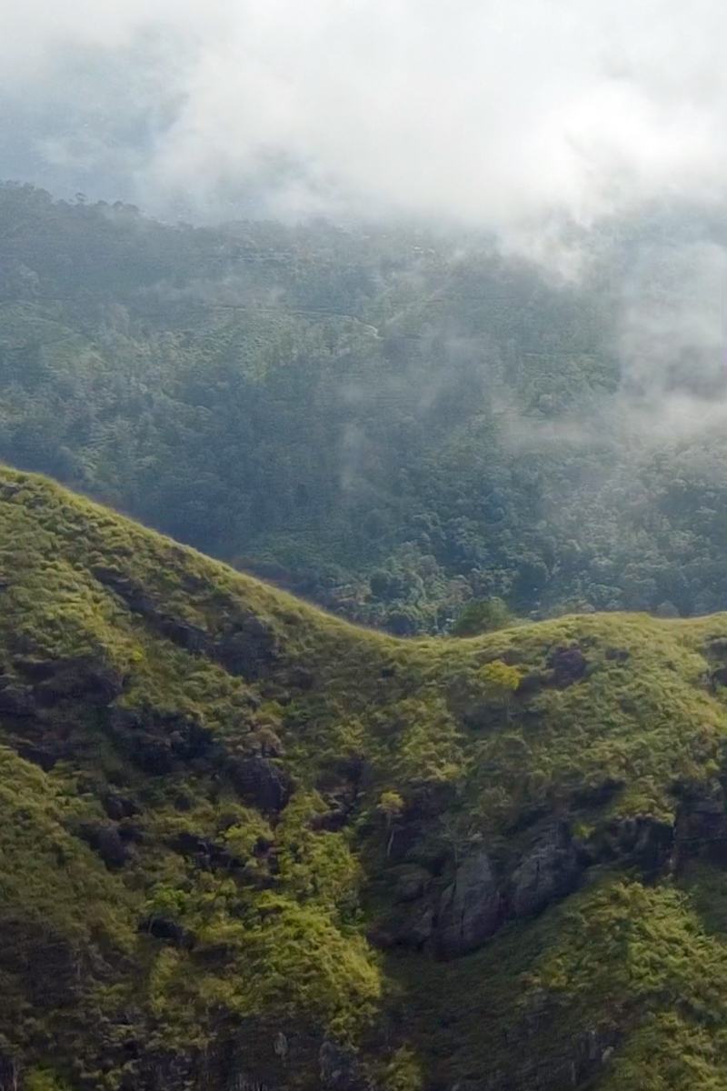 Little Adam’s Peak Hike In Ella Sri Lanka - Guide 2026