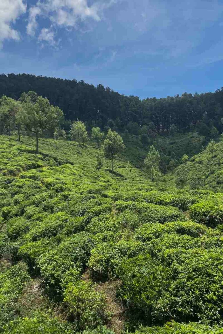 15 Best Things To Do In Ella, Sri Lanka - Guide 2025