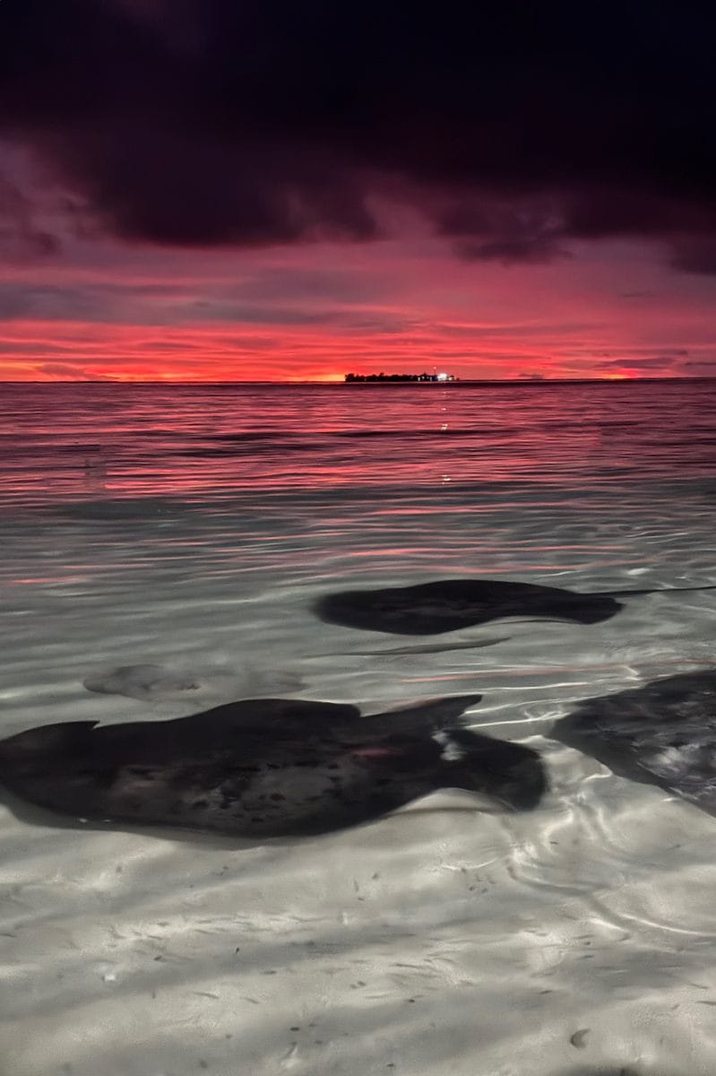 Omadhoo Island Maldives Guide 2026 – 8 Best Things To Do