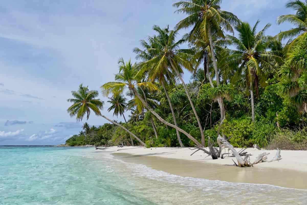 Omadhoo Island Maldives Guide 2026 – 8 Best Things To Do