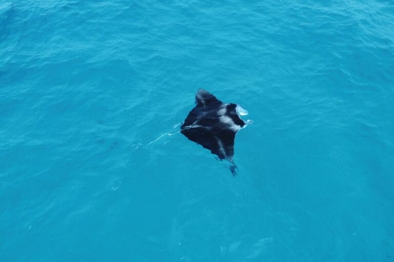 Mathiveri Island Maldives - Full Guide & 10 Best Things