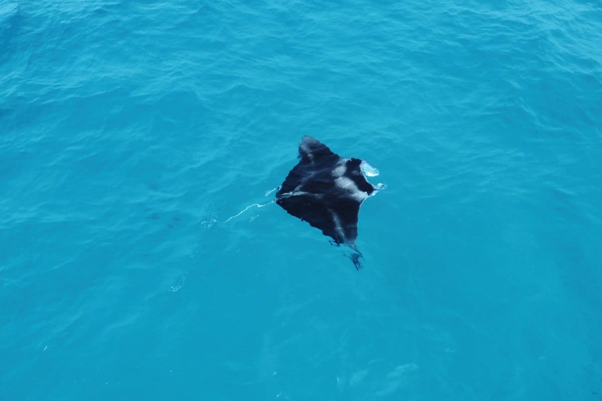 Mathiveri Island Maldives - Full Guide & 10 Best Things