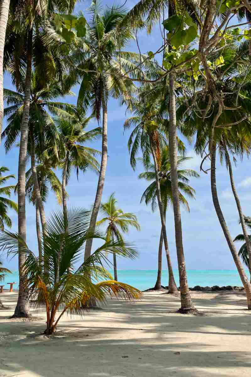 Mathiveri Island Maldives - Full Guide & 10 Best Things