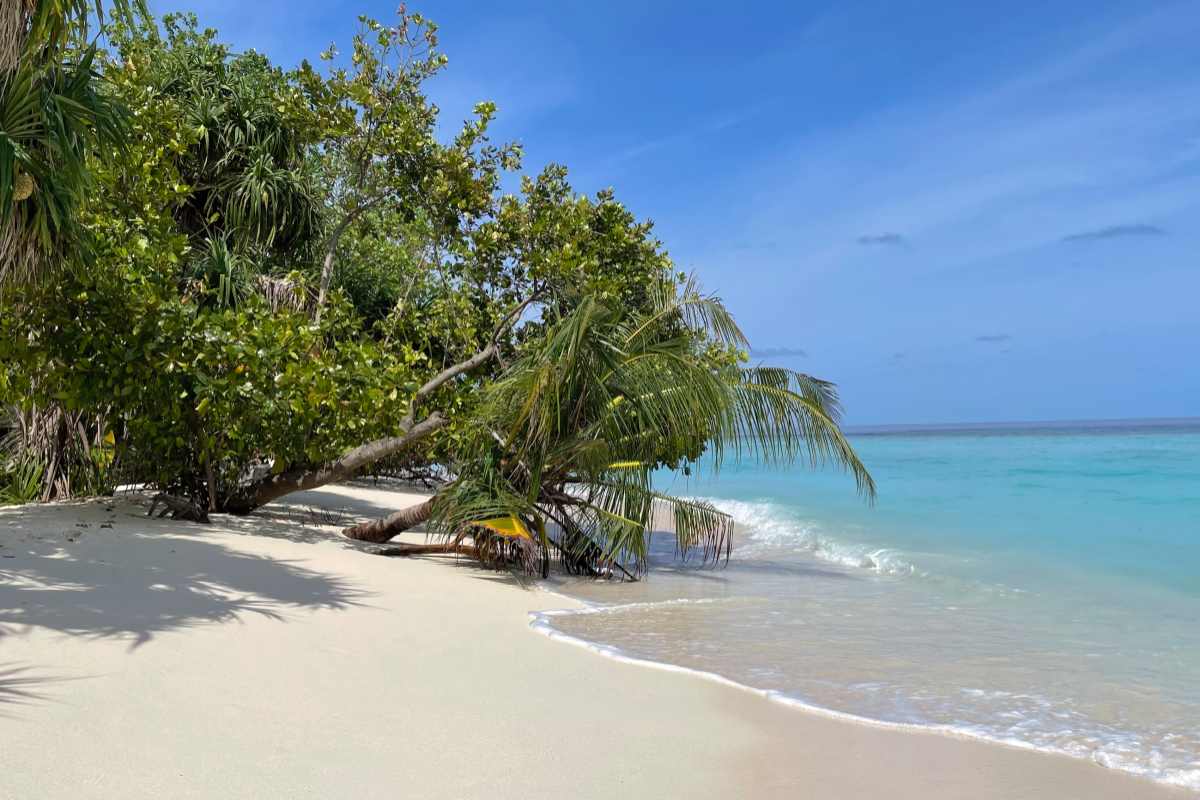 Rasdhoo Island Maldives – Travel Guide & 8 Best Things