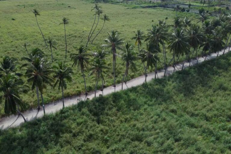 Thoddoo Island Maldives - Travel Guide & 8 Best Things