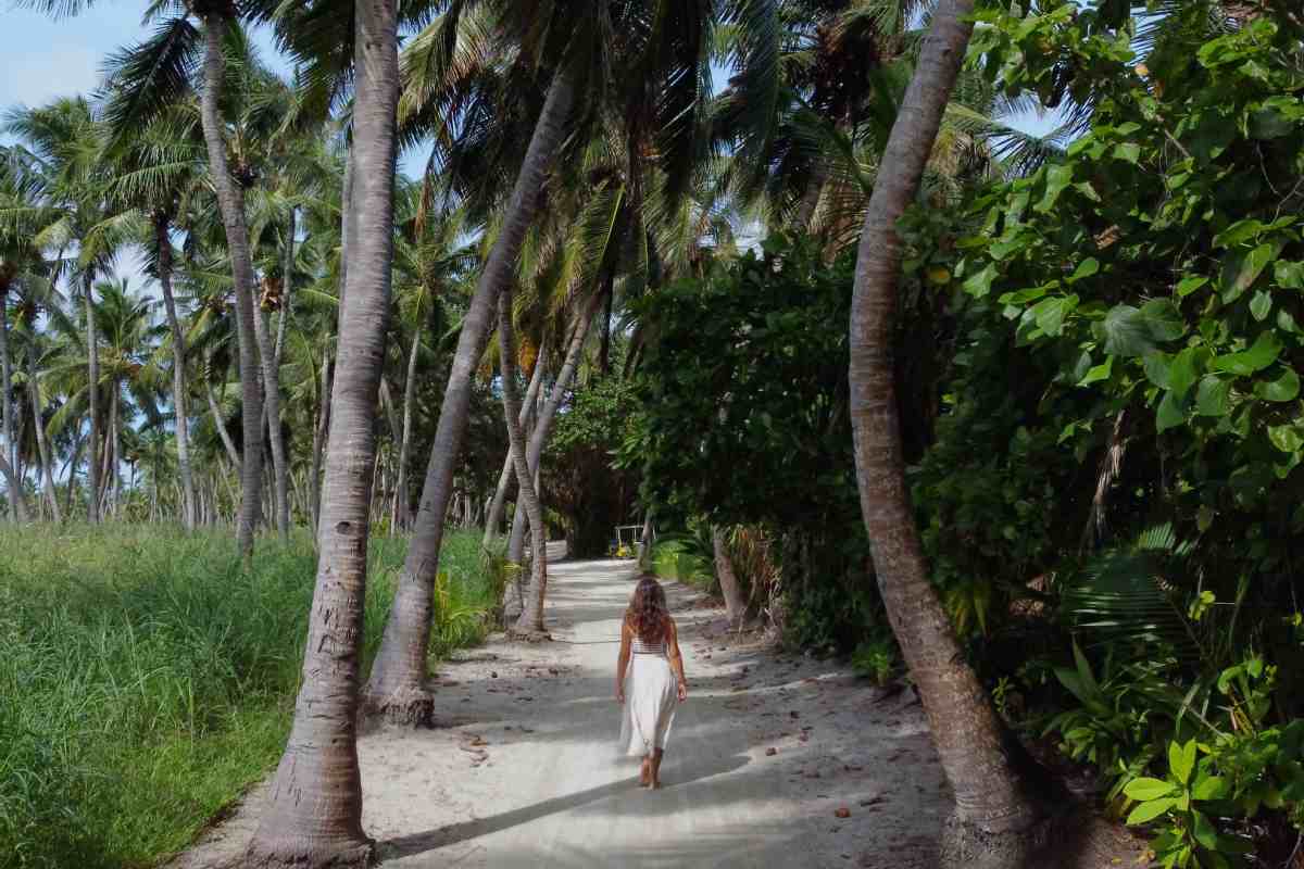 Thoddoo Island Maldives - Travel Guide & 8 Best Things