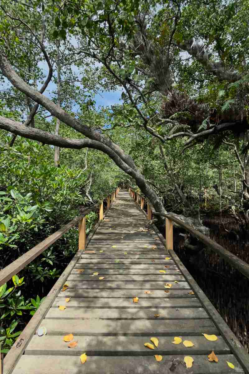 10 Best Things To Do In Bunaken Island - Full Guide 2026